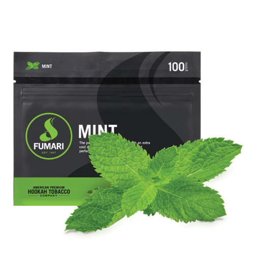 FUMARI MINT 10/100GRAM POUCH – SaveMax